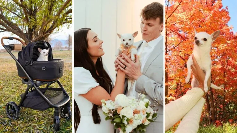 Interview With Madi the Chi and Serena of the Stadler Fam – Focusing On ...