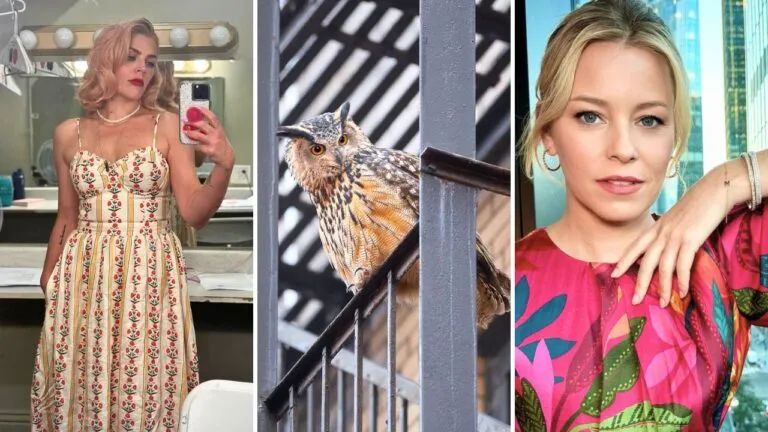 Celebrities and Fans Mourn the Death of Flaco the Famous Fugitive Owl ...