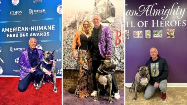 Interview With Ethan Almighty: Abuse Survivor Turned Prominent Canine ...