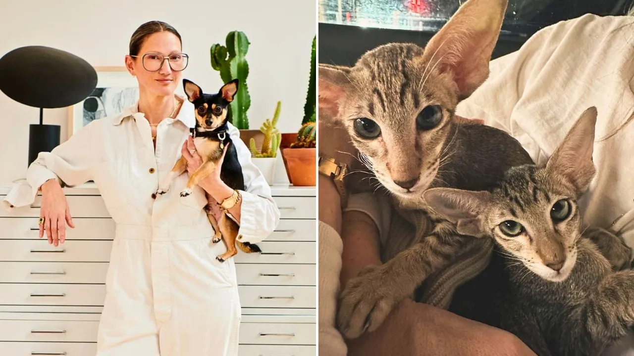 ‘Real Housewives’ Star Jenna Lyons Introduces Her Unique New Kitties ...