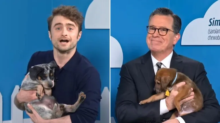 Daniel Radcliffe and Stephen Colbert Laugh (And Lie) to Help Get Rescue ...