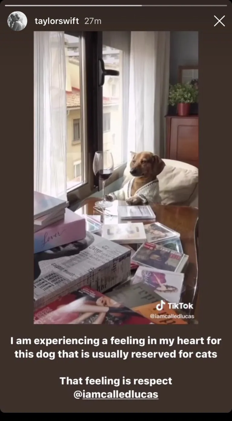Interview With Lucas the Dog: The Only Dog Taylor Swift Respects as ...