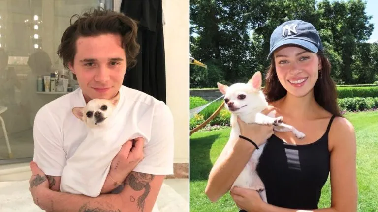 Brooklyn Beckham and Nicola Peltz Share Their Rescue Dog Suddenly Died ...