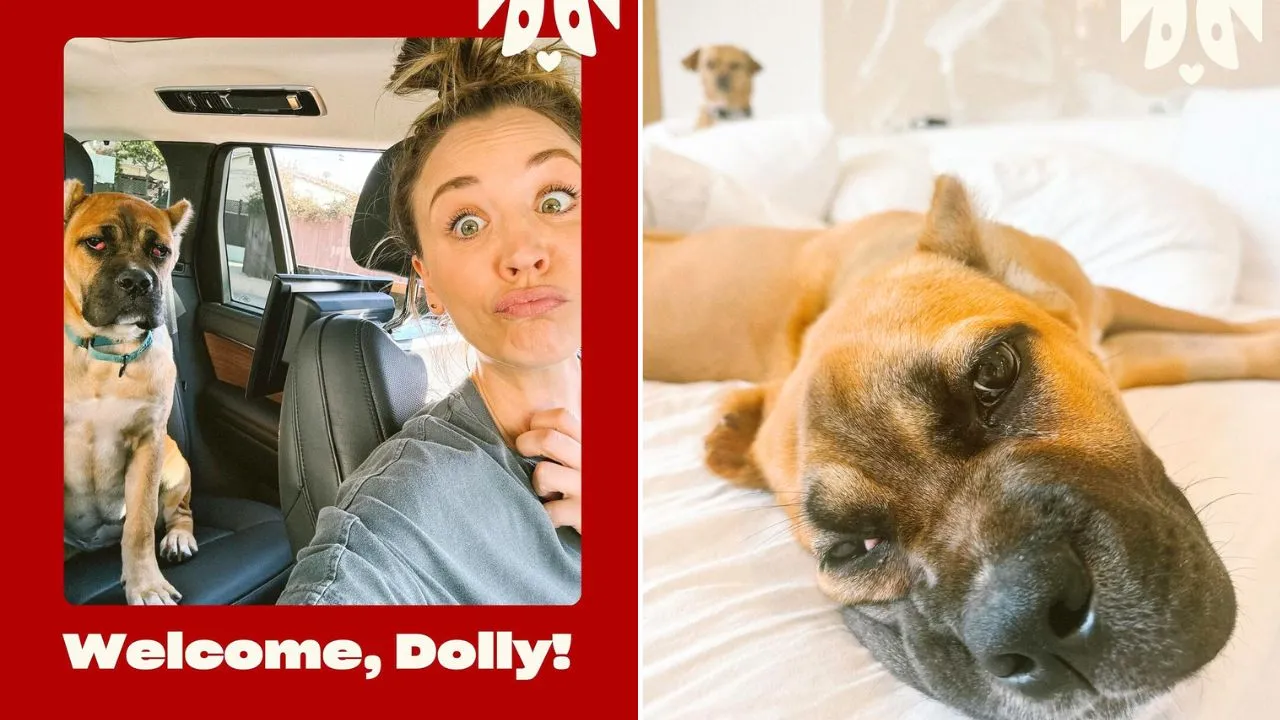 Kaley Cuoco Adds Another Rescue Dog to Her Pack With Dolly the Cane ...