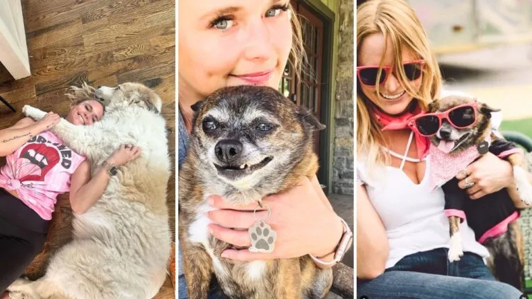 Miranda Lambert Reveals Two of Her Rescue Dogs Have Passed Away ...
