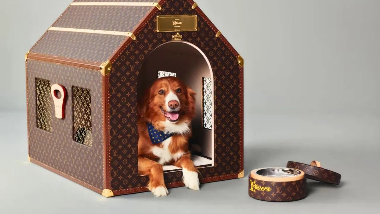 Pharrell Williams Launches “Dandy Dog Walkers” Collection for Louis ...