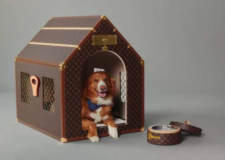 Pharrell Williams Launches “Dandy Dog Walkers” Collection for Louis ...
