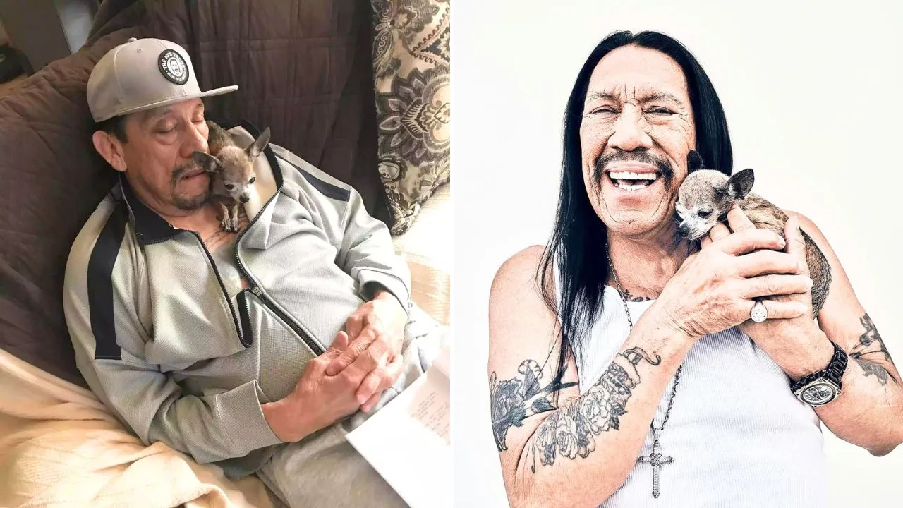 Danny Trejo Mourns the Loss of His 16-Year-Old “Pitbull Chasing ...