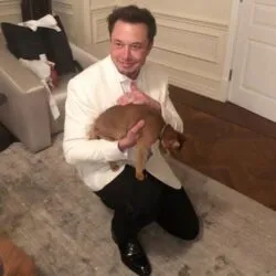 Elon Musk Pets - Celebrity Pets