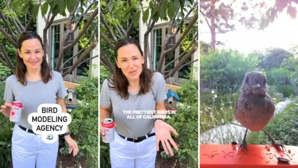 Jennifer Garner Launches Bird Modeling Agency - Celebrity Pets