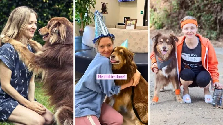 Amanda Seyfried Celebrates Her Rescue Dog Finn’s 15th Birthday With ...