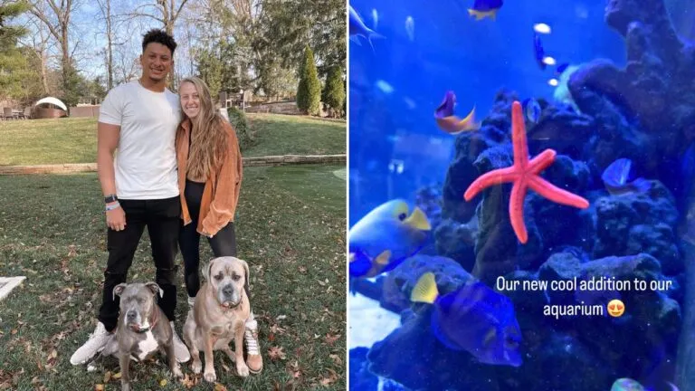 Brittany and Patrick Mahomes Introduce New Aquatic Pet on Instagram ...