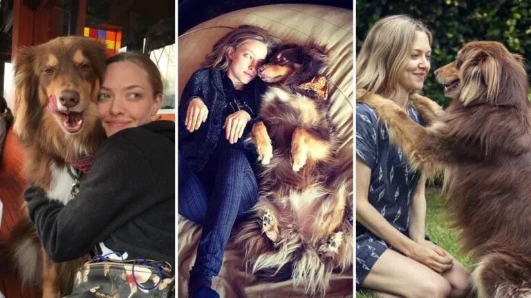 Amanda Seyfried Shares How Vital Her Rescue Dog Finn Has Been to Her ...