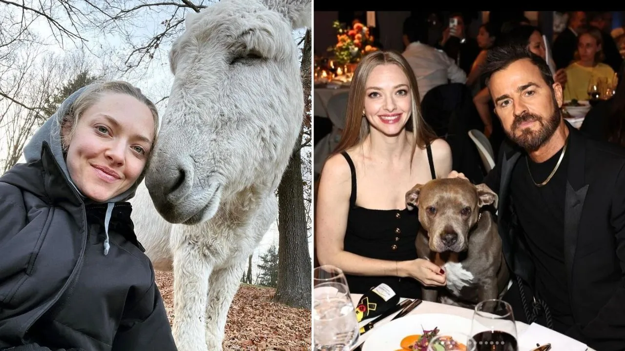Amanda Seyfried Loves Using Her Farm to Rescue Animals ‘I Have the ...
