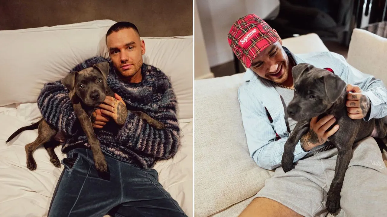 Liam Payne’s Devastated Fans Are Worried About His New Pitbull Puppy ...