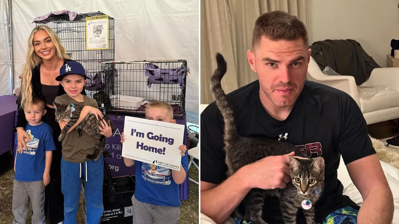 After World Series Win, Freddie Freeman Celebrated by Adopting a Cat ...