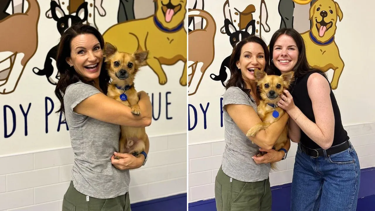 ‘And Just Like That,’ Kristin Davis Adopts Dog From Famous Foster Dog ...