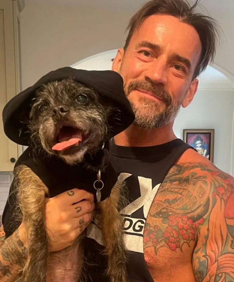 CM Punk’s Rescue Dog Larry’s Merch Is Outselling a Lot of WWE ...