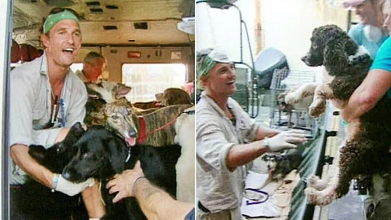 Did you know Matthew McConaughey rescued over 80 pets from Hurricane ...