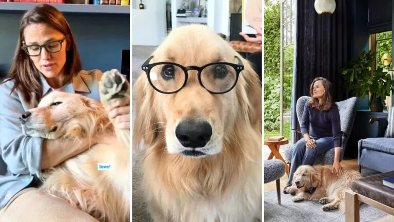 Jennifer Garner’s Therapy Dog Birdie Has Suddenly Passed Away ...