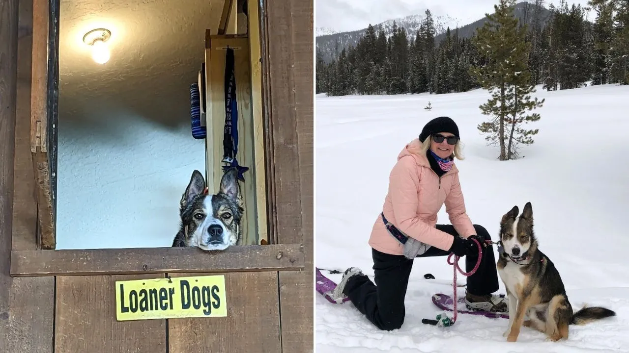 Meet Rio the ‘Loaner Dog’ Who You Can Borrow to Go Hiking or ...