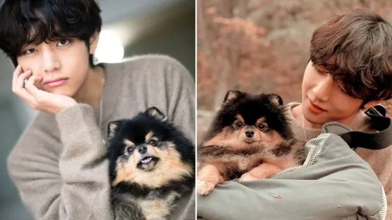 BTS Member V’s Beloved Pomeranian, Yeontan, Has Passed Away - Celebrity ...