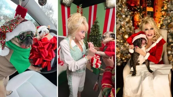 Doug the Pug and Dolly Parton’s Frenchie BTK Have a Christmas Hangout ...
