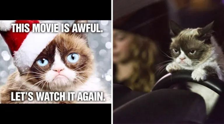 Throwback to Aubrey Plaza and Grumpy Cat’s Forgotten Christmas Movie ...