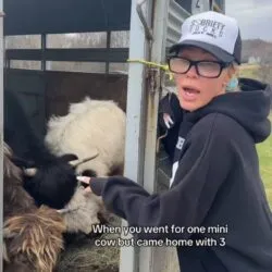 Jelly Roll Pets - Celebrity Pets