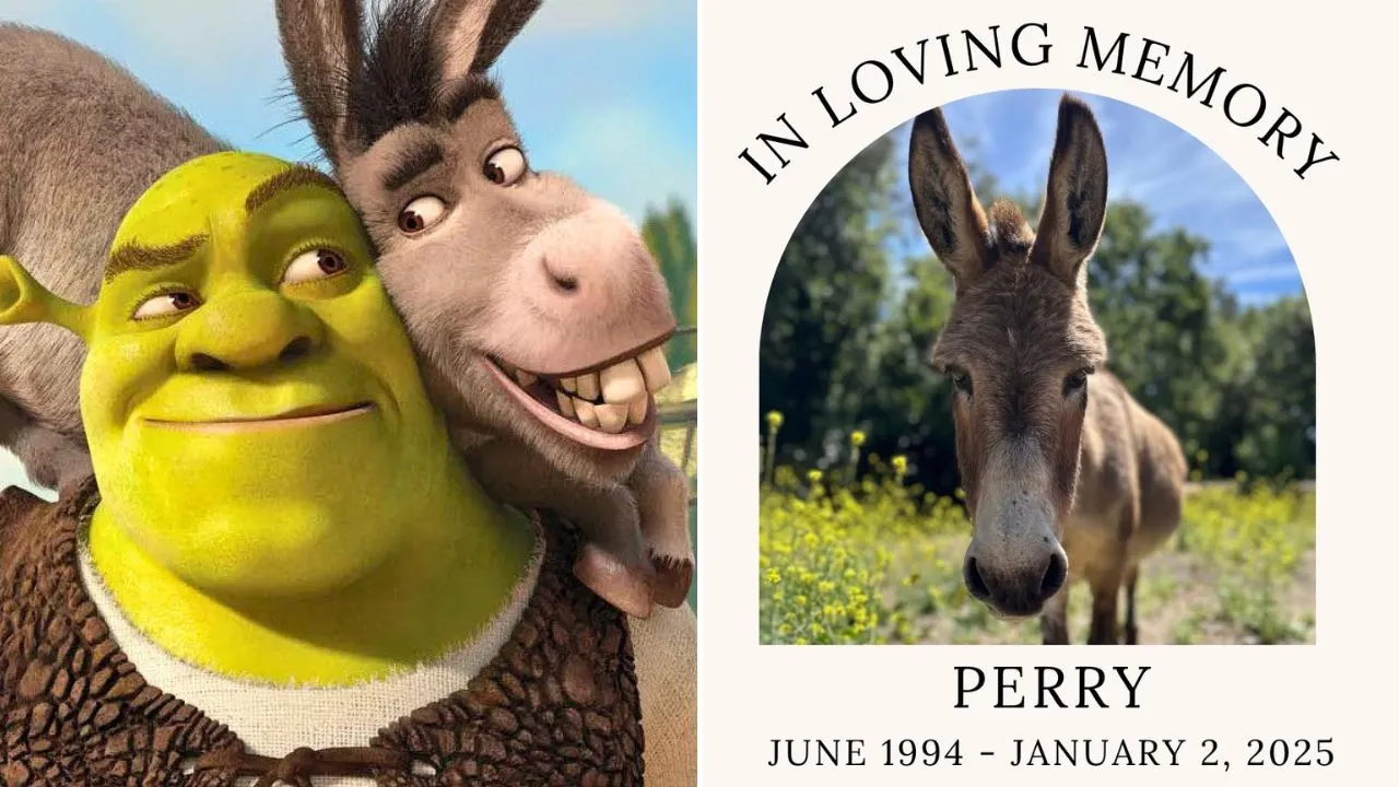 Perry, Who Donkey in ‘Shrek’ Was Based On, Has Passed Away at 30 Years ...