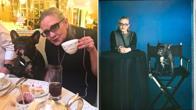 Carrie Fisher’s Famed French Bulldog Gary Has Passed Away at 12 ‘To Be ...