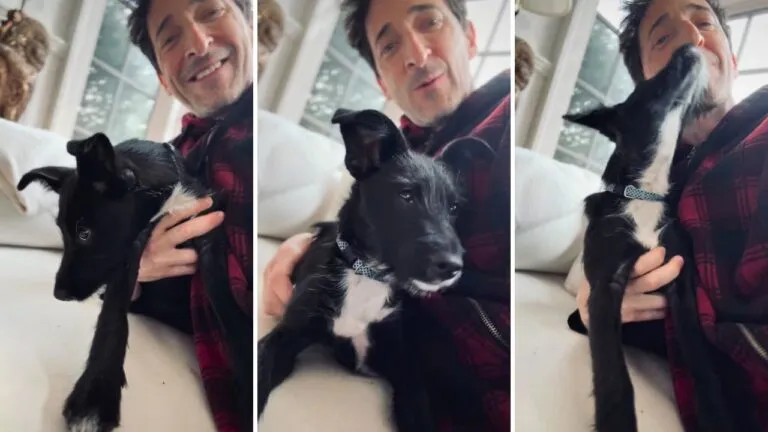 Adrien Brody Reveals Puppy Laszlo, His Third Rescue Dog - Celebrity Pets