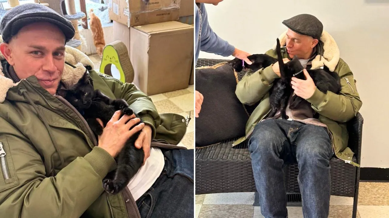 After Regular Visits to Snuggle Shelter Cats, Charlie Hunnam Took Two ...