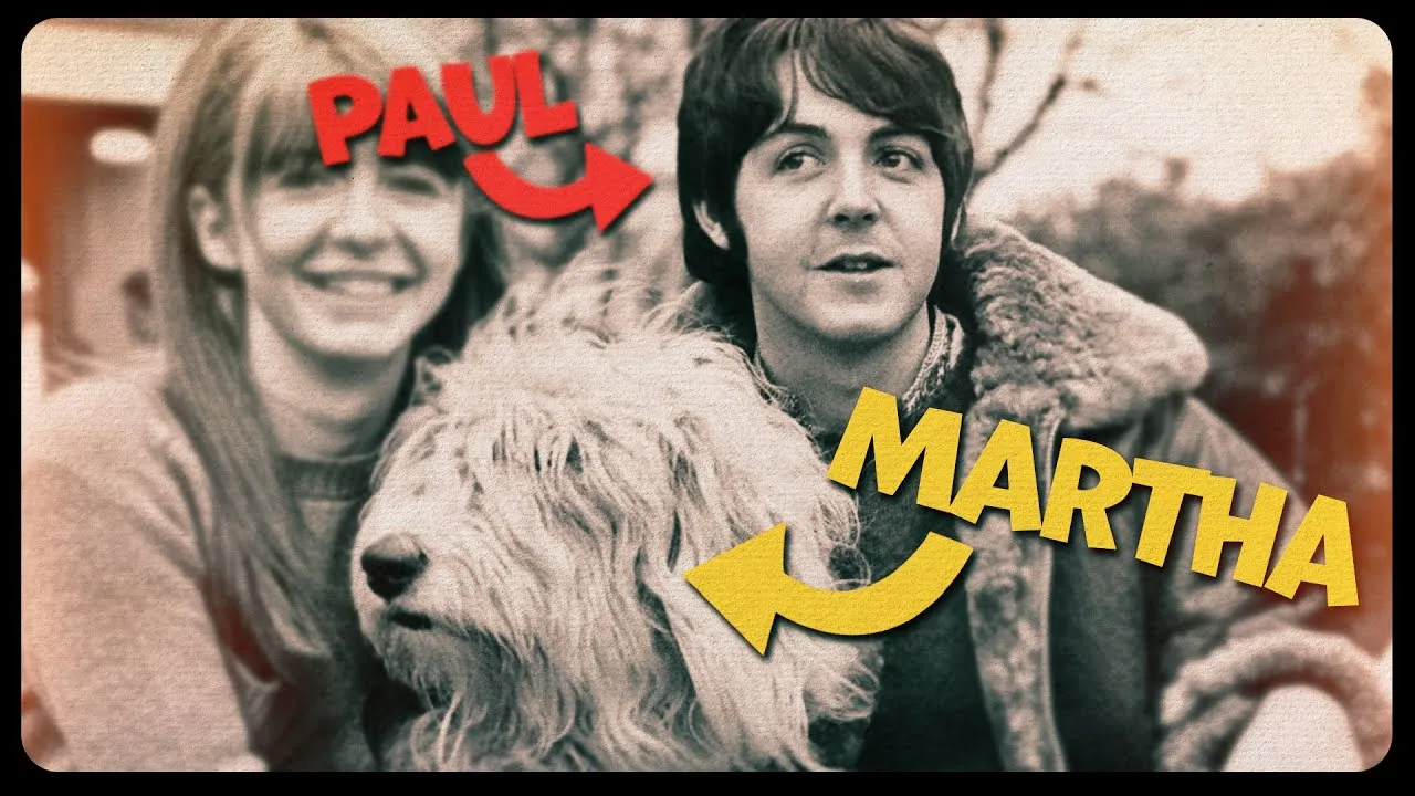 From McCartney to Pink Floyd: A Fascinating Video Exploring Rock Songs ...