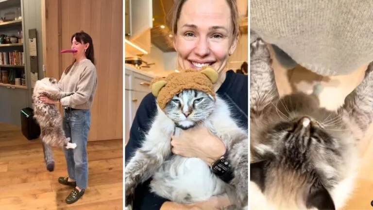 Jennifer Garner Attempts the Viral TikTok Spin Challenge with Her Giant Himalayan Cat ...
