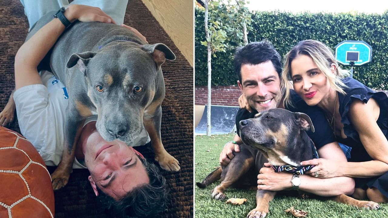 Max Greenfield and Tess Sanchez Mourn Darlene, the Pitbull Who Waited ...