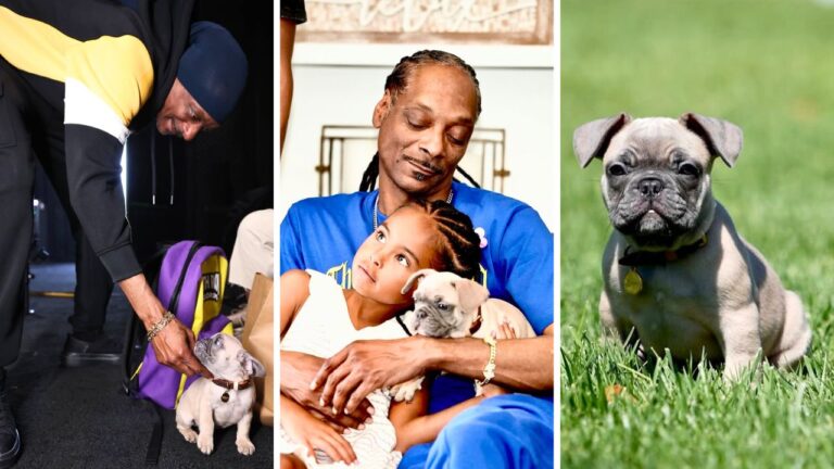 Snoop Dogg Got a New Frenchie Puppy Named Baby Boy That’s Already an ...