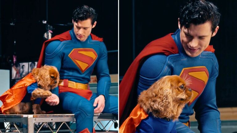 “Superman” Star David Corenswet Brought His Adorable Super Spaniel to ...