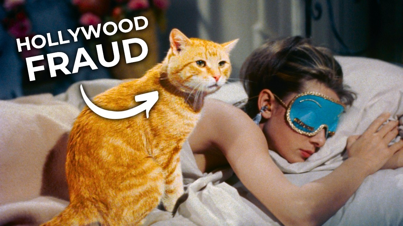 This Video Reveals The Surprising Secrets Behind How Cats “Act” in ...